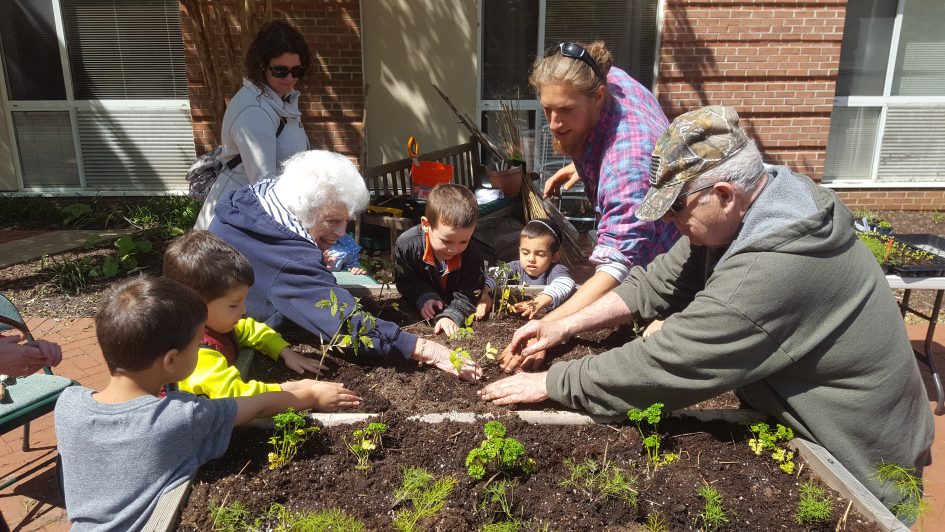 Introducing: The Ramah Garden - Ramah Day Camp