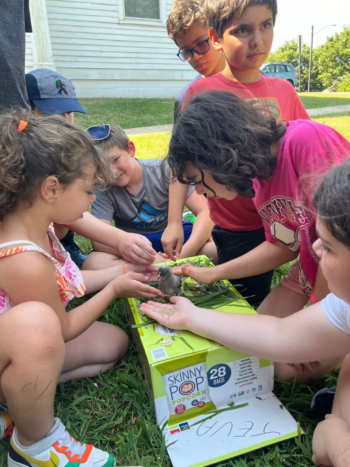 The Big Idea at Ramah Day Camp - Ramah Day Camp